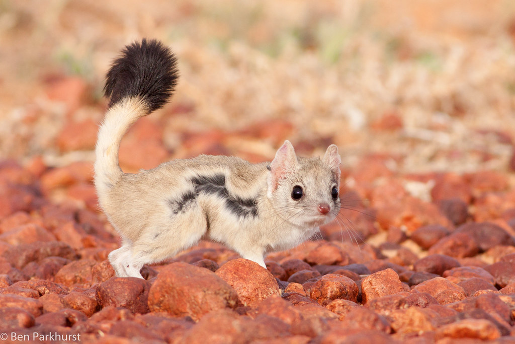 4 reasons to feel exuberance about the future | ALIA Green